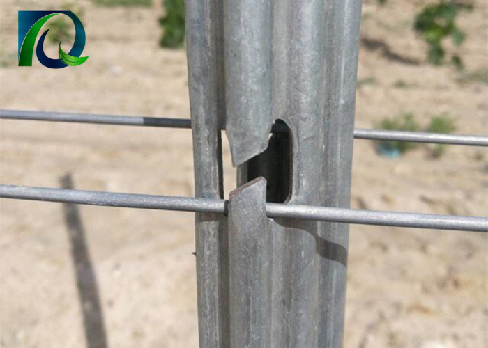 Silver Galvanized C Type Vineyard Poles , Grape Vine Posts Size 2.0MM X ...
