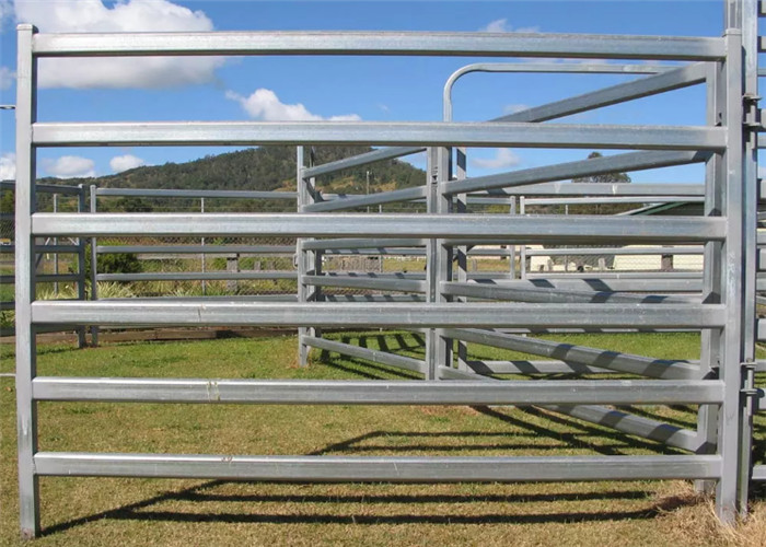 Oval Rail Tube Farm Fence Panels 2mm Thickness For Sheep Horse SGS Listed