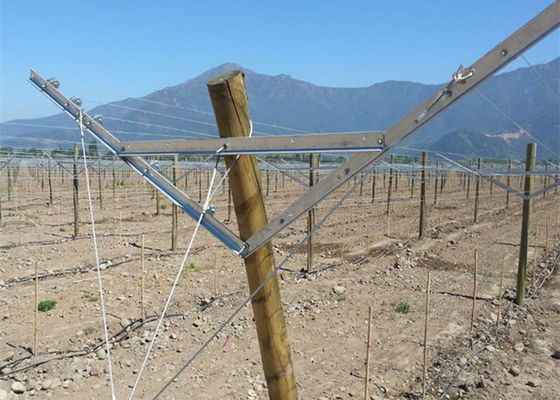 Open Gable Trellis System factory, Buy good quality Open Gable Trellis ...