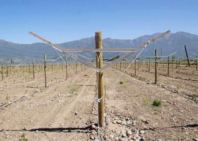 44.5 X 25.4MM Grapes Farming Techniques Galvanized Surface And Long Life