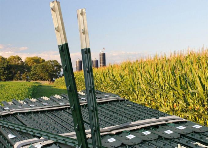 Heavy Duty Metal T Post / Green Fence Post Low Carbon Steel Material