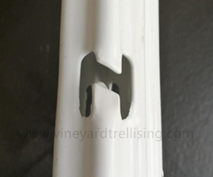 Durable Grape Vine Stakes / Galvanised Steel Vineyard Posts Package In ...