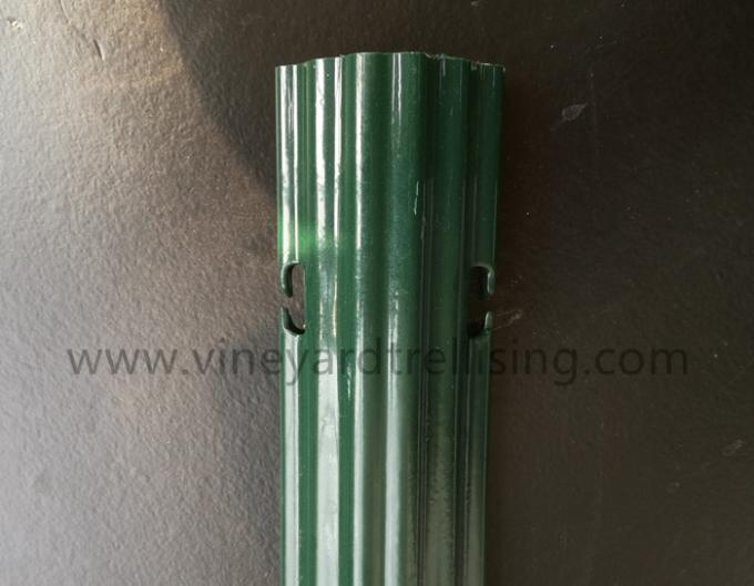 Durable Grape Vine Stakes / Galvanised Steel Vineyard Posts Package In ...