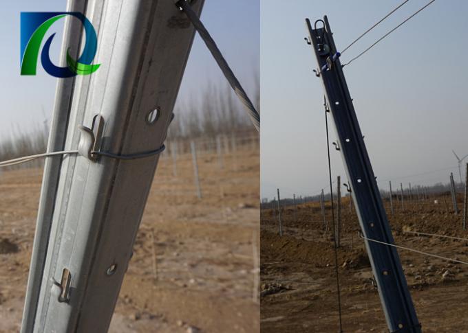 Galvanised 50x40MM Vineyard Trellis Posts For Big Wine Garden