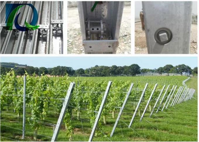 Plant Growing Metal 2.2 Meter Orchard Trellis Post With S Hole